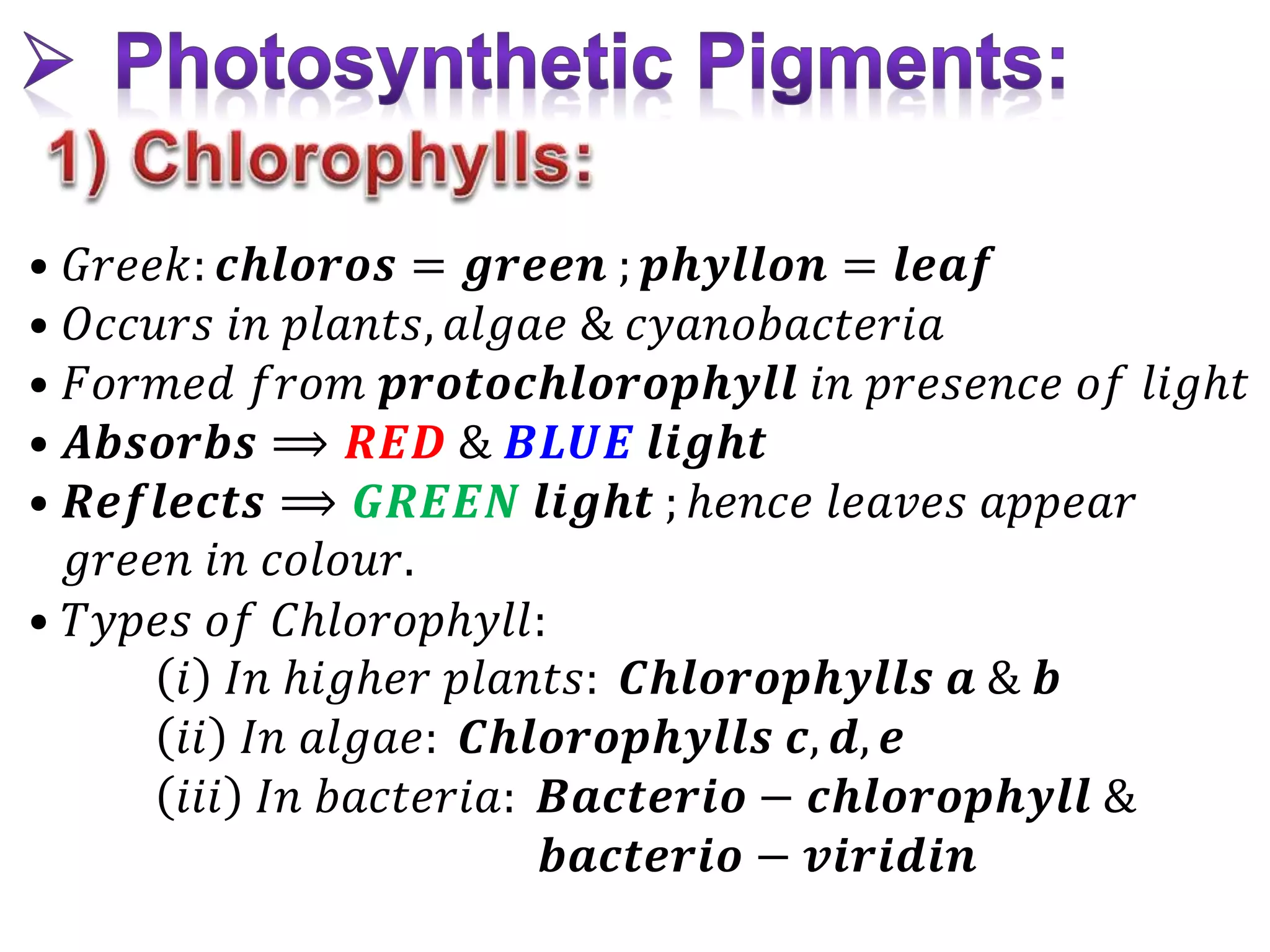 Photosynthesis | PPTX