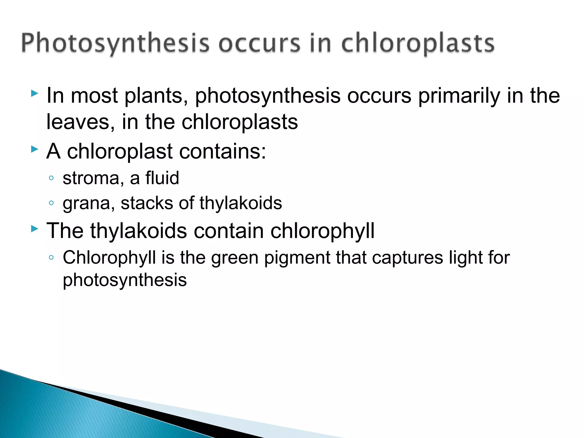 Photosynthesis process (light and dark reactions) | PPT