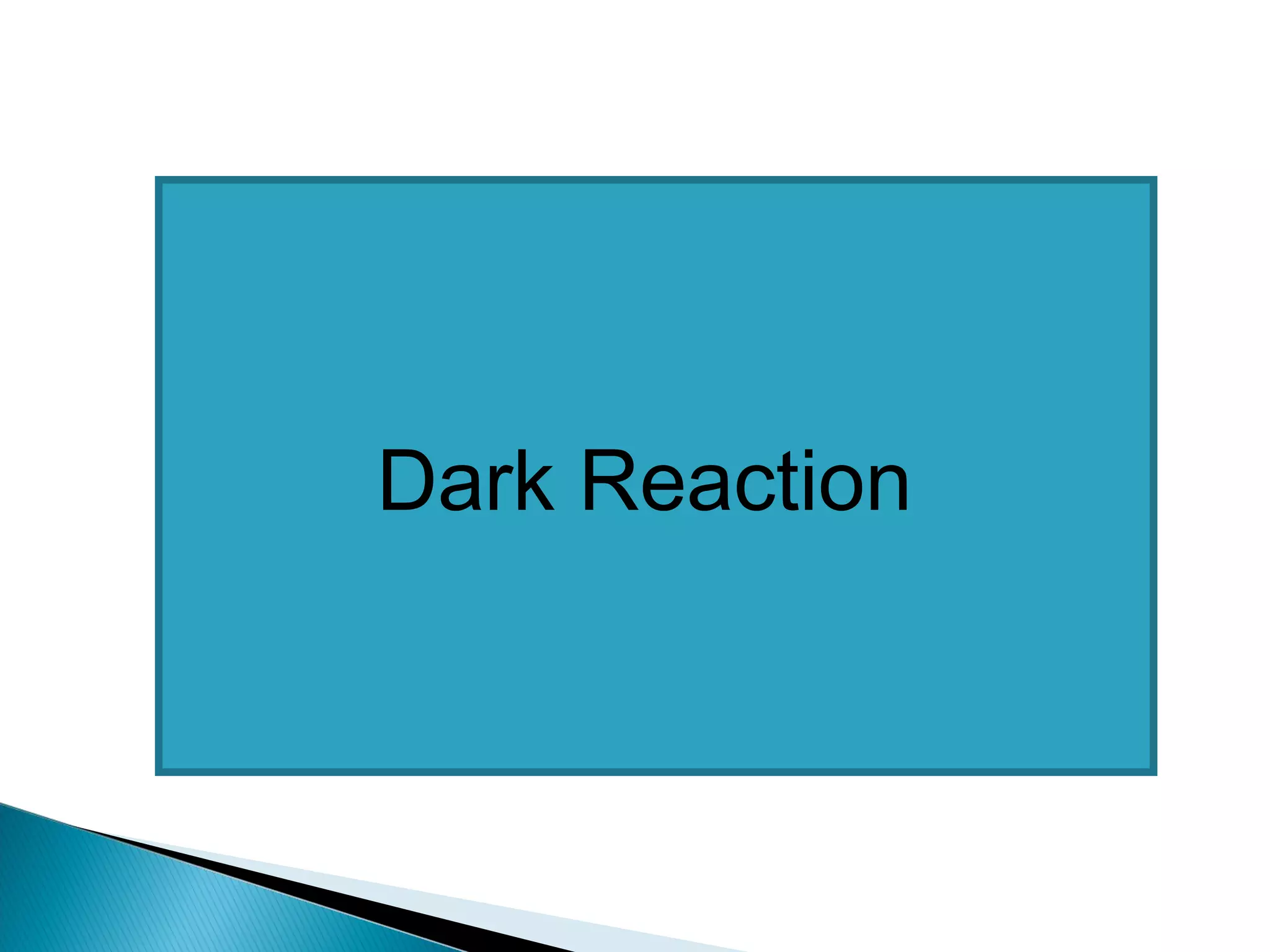 Photosynthesis process (light and dark reactions) | PPT