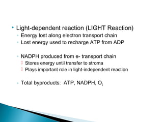 Photosynthesis process (light and dark reactions) | PPT