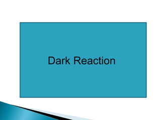 Photosynthesis process (light and dark reactions) | PPT