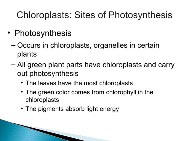 Photosynthesis process (light and dark reactions) | PPT