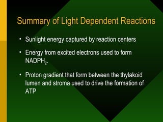 Photosynthesis lecture part 1 | PPT
