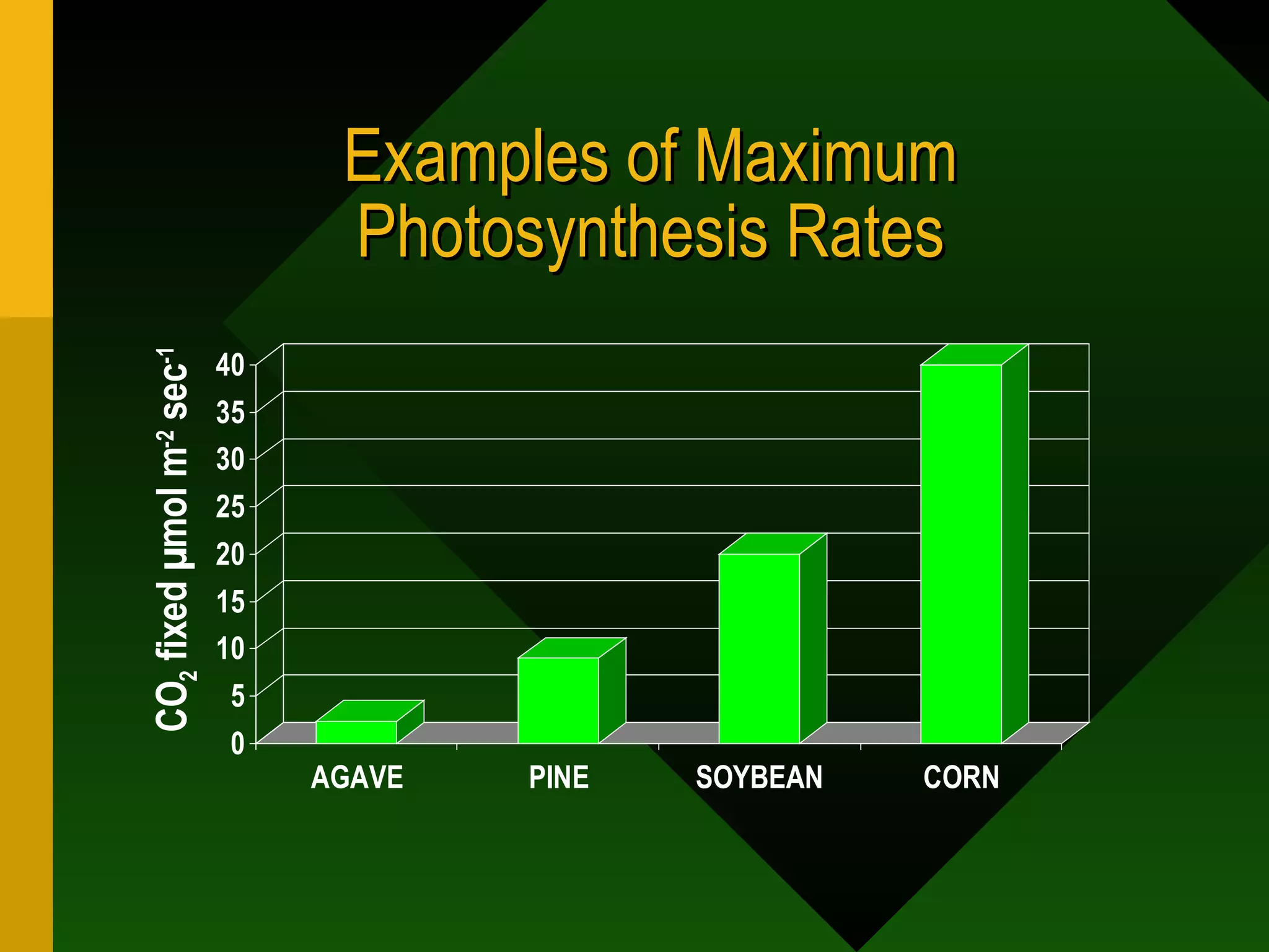 Photosynthesis lecture part 2 | PPT