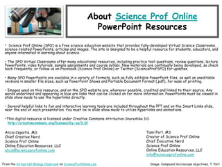Photosynthesis-Light-Dependent-Reactions-LITE (1).ppsx