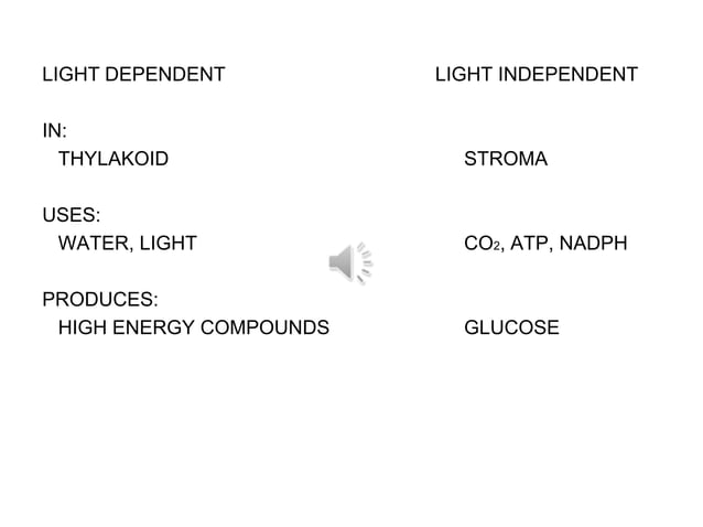 Photosynthesis light dependent reaction | PPSX