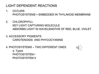 Photosynthesis light dependent reaction | PPSX
