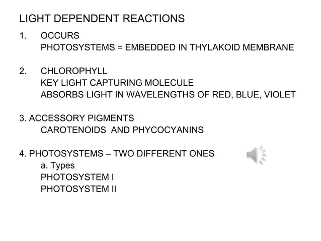 Photosynthesis light dependent reaction | PPSX