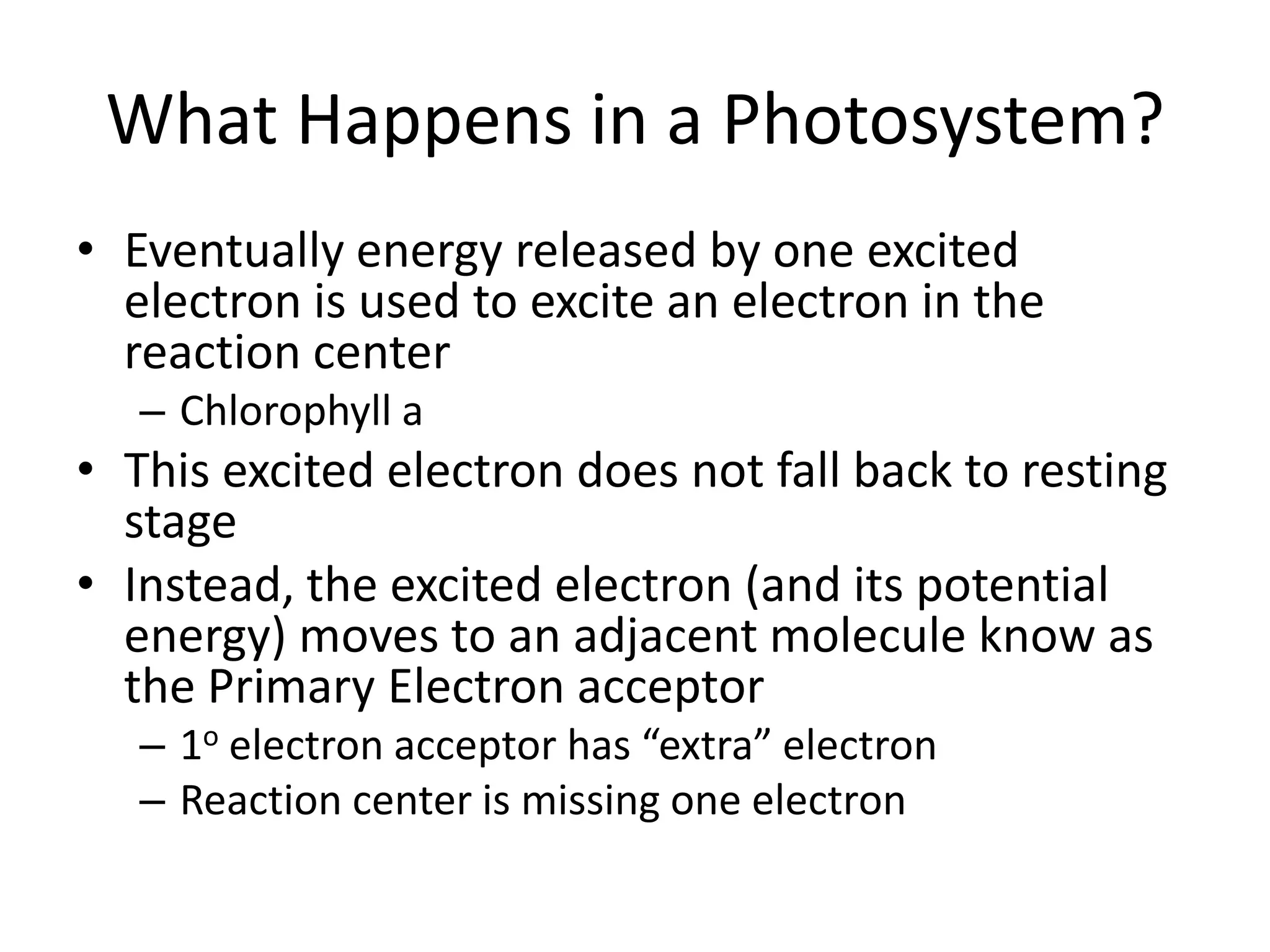 Photosynthesis light dependent reactions | PPTX