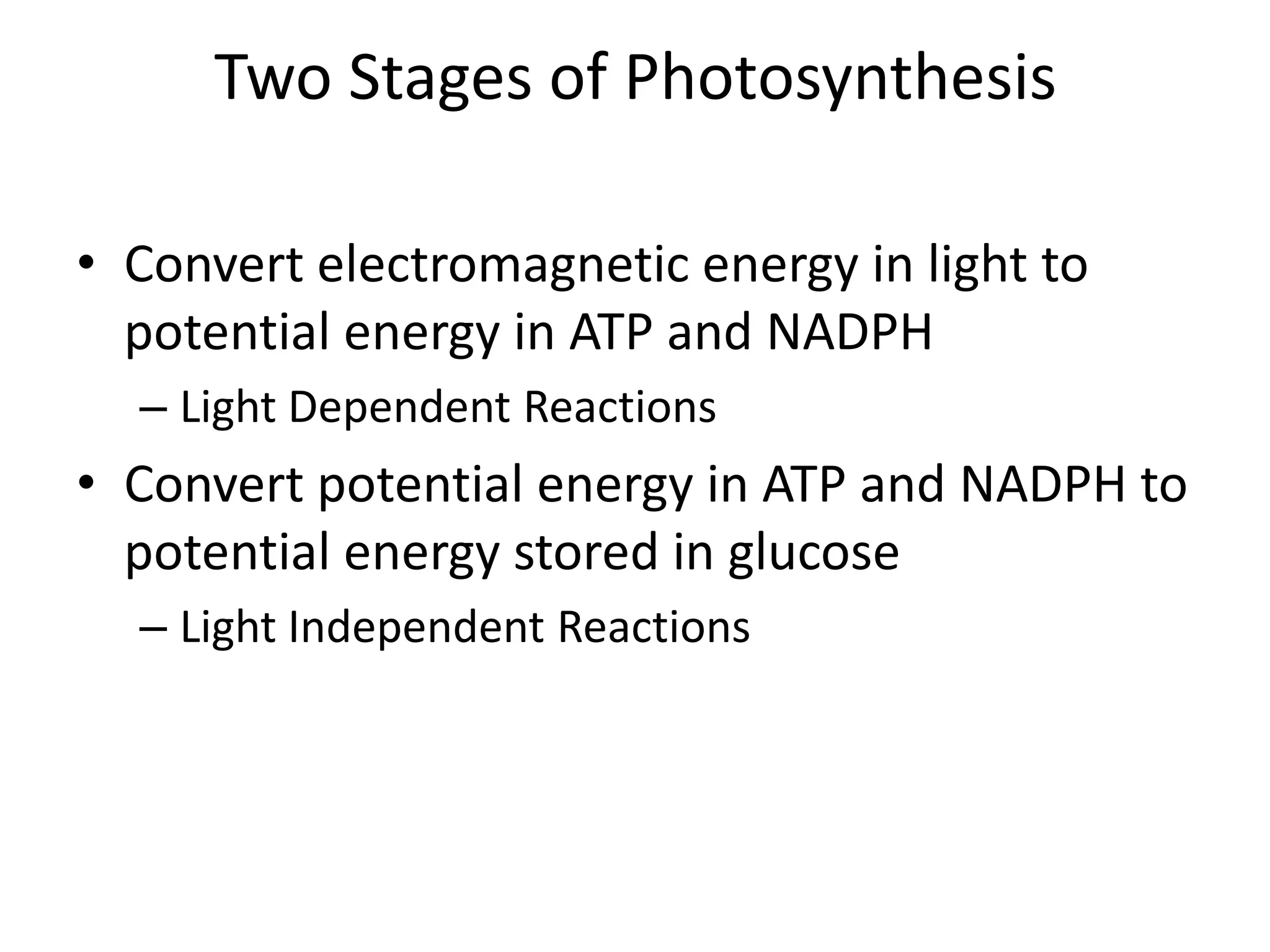 Photosynthesis light dependent reactions | PPTX