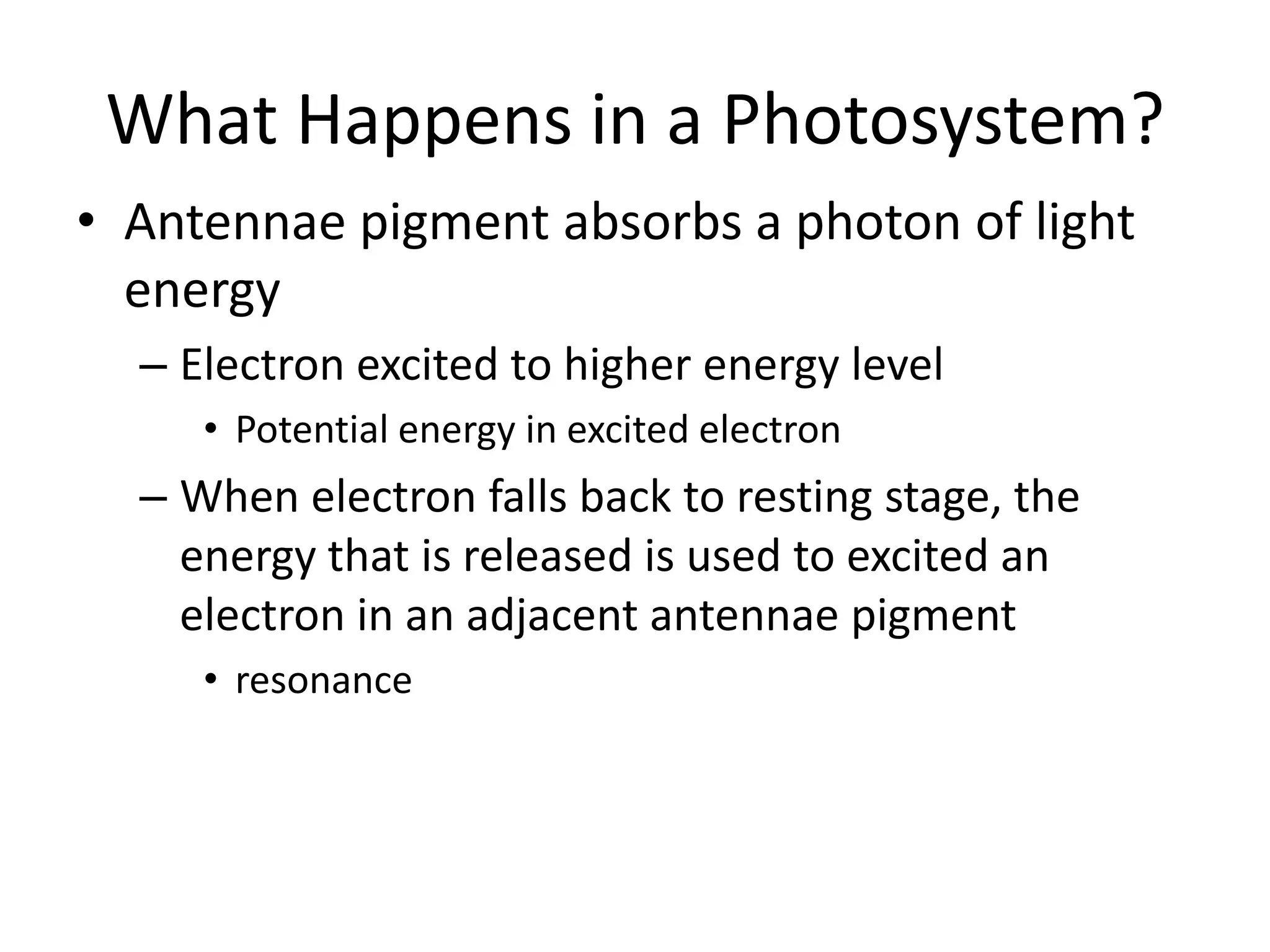 Photosynthesis light dependent reactions | PPTX