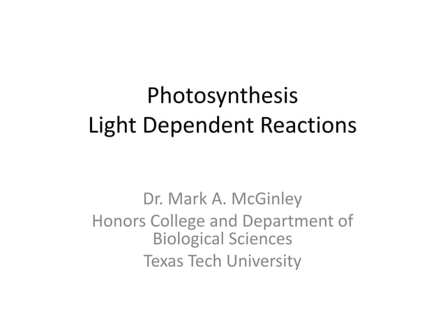 Photosynthesis light dependent reactions | PPTX | Chemistry | Science