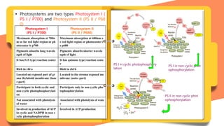 Photosynthesis -light reaction | PDF