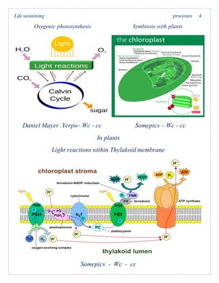 Life sustaining processes - Chapter V.1 Photosynthesis in Animals ...