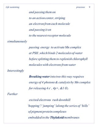 Life sustaining processes - Chapter V.1 Photosynthesis in Animals ...