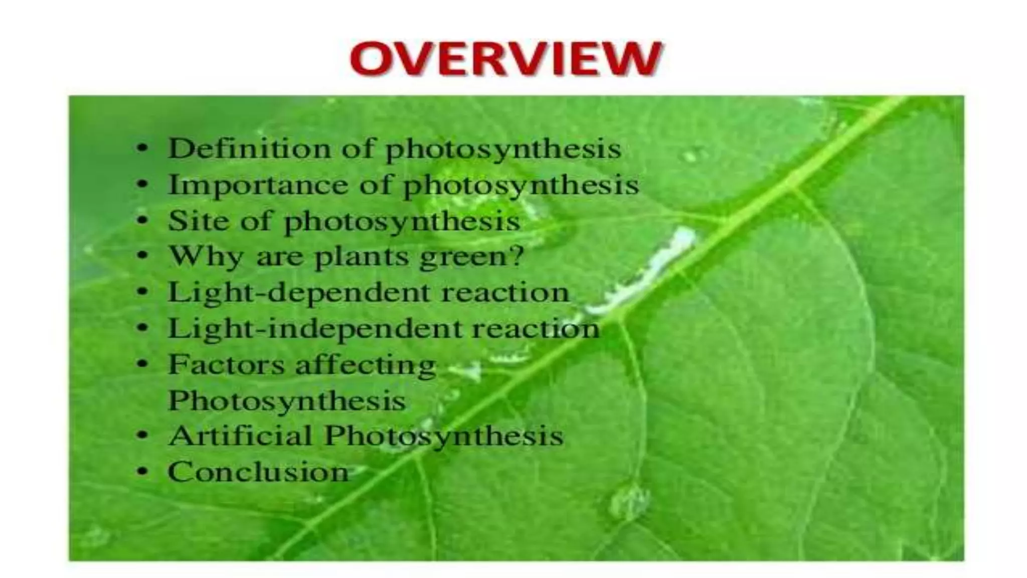 Photosynthesis | PPT