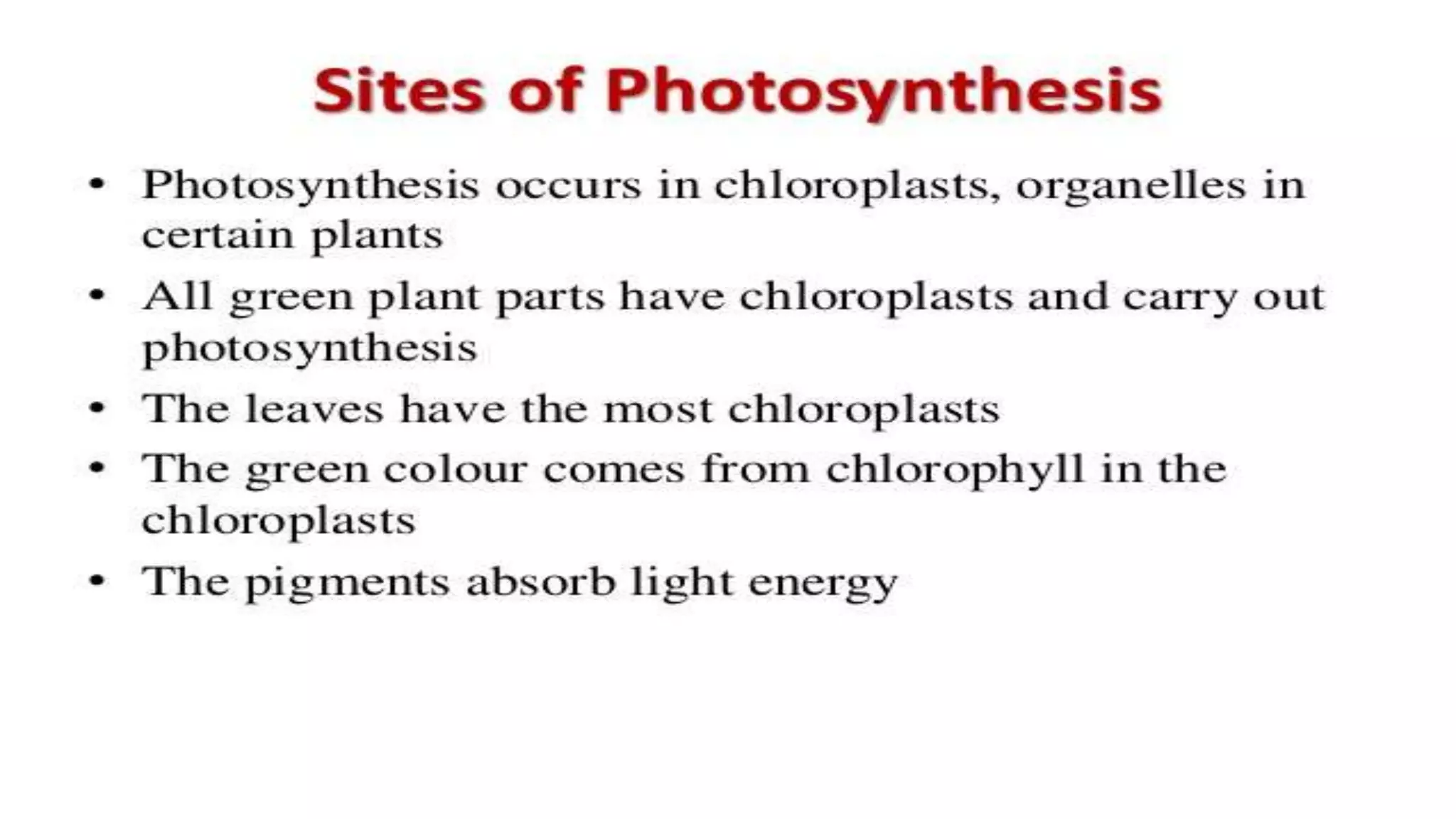 Photosynthesis | PPT