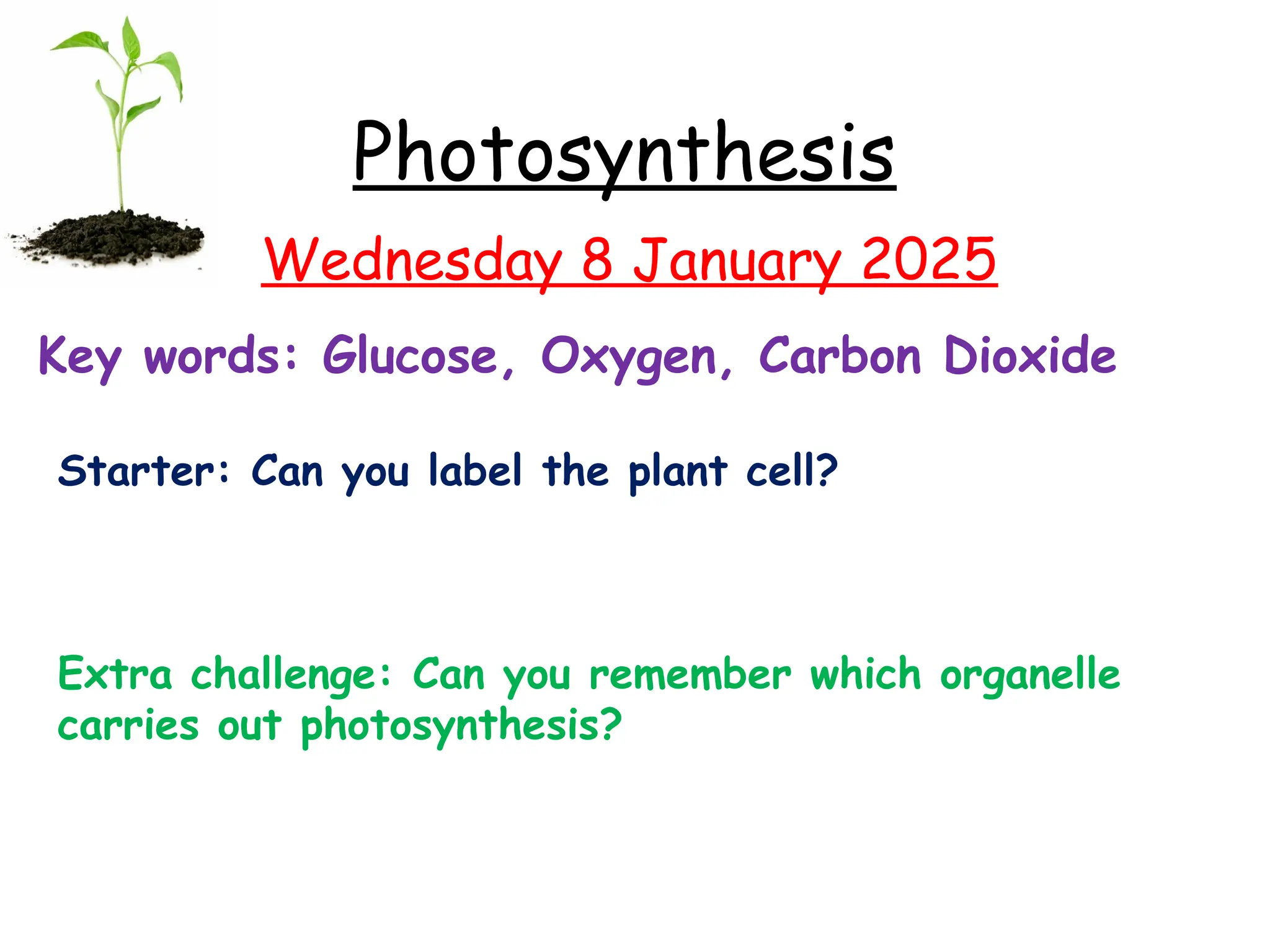 Photosynthesis-How plants make their own foodt.ppt