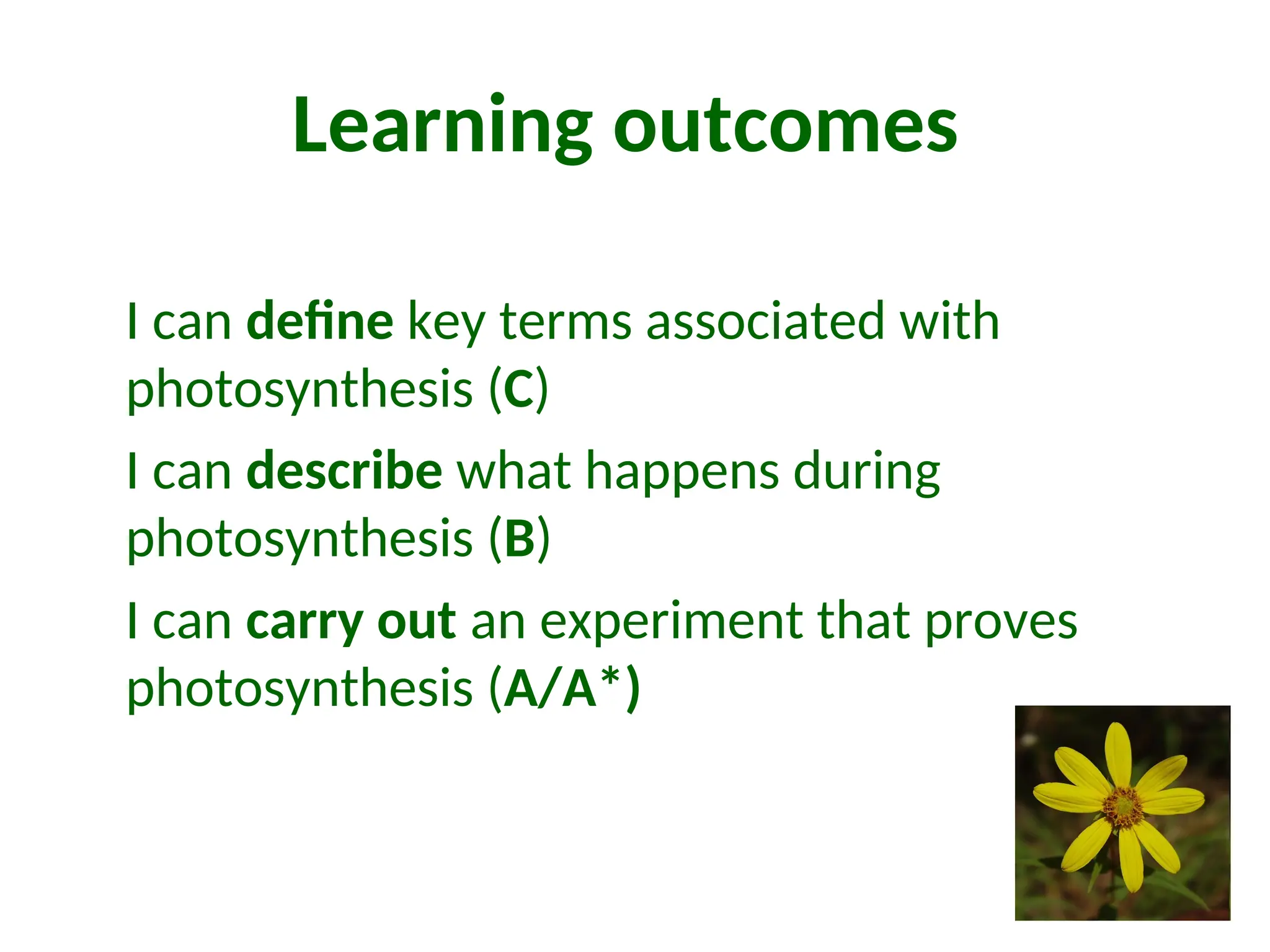 Photosynthesis-How plants make their own foodt.ppt