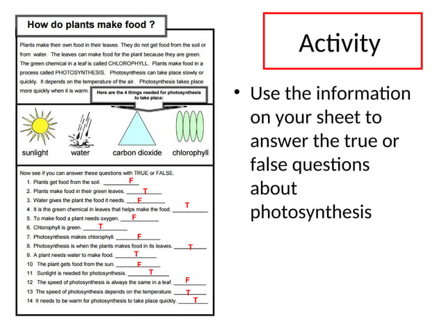 Photosynthesis-How plants make their own foodt.ppt