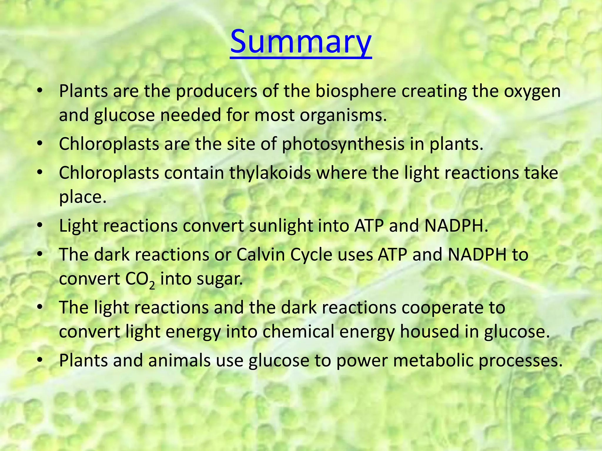 Photosynthesis-Presentation-NXPowerLite (1).pptx