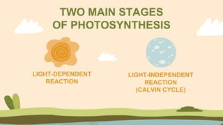 photosynthesis-process-for-education.pptx