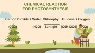 photosynthesis-process-for-education.pptx