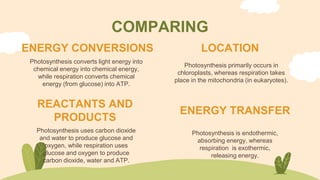 photosynthesis-process-for-education.pptx