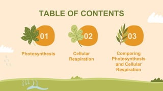 photosynthesis-process-for-education.pptx