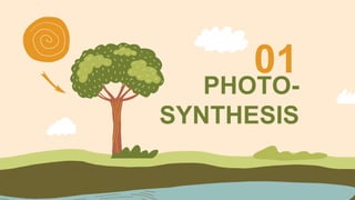 photosynthesis-process-for-education.pptx