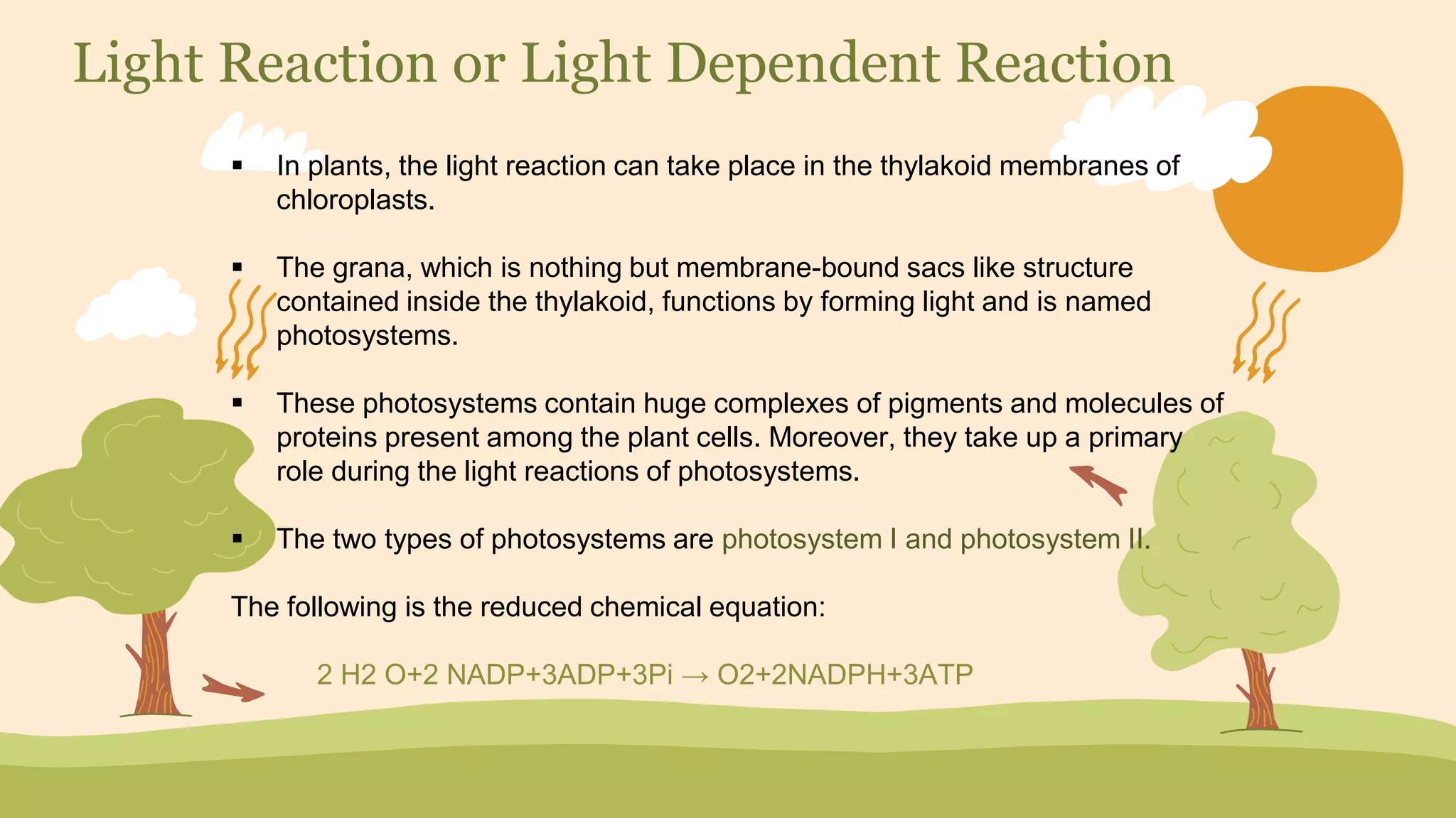 photosynthesis-process-for-education (1).pptx | Chemistry | Science