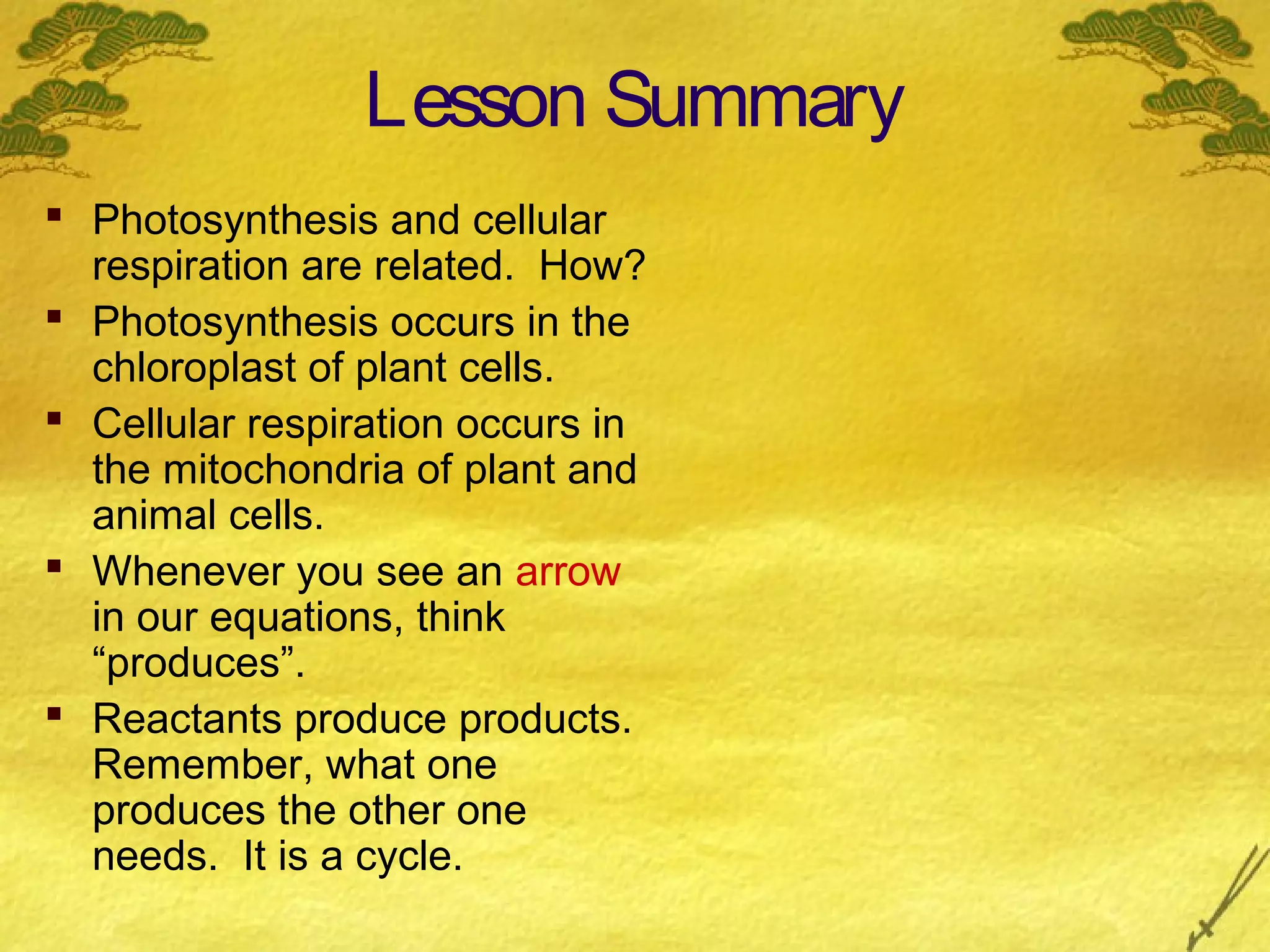 Photosynthesis repiration power point | PPT | Biological Sciences | Science