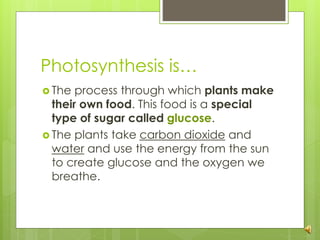 Photosynthesis sound | PPT