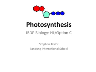 photosynthesis-S Taylor.ppt