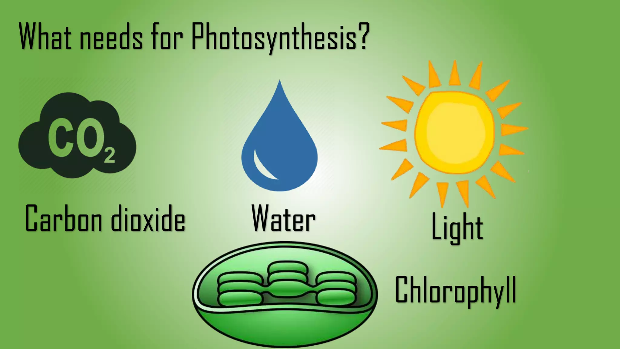Photosynthesis | PPTX