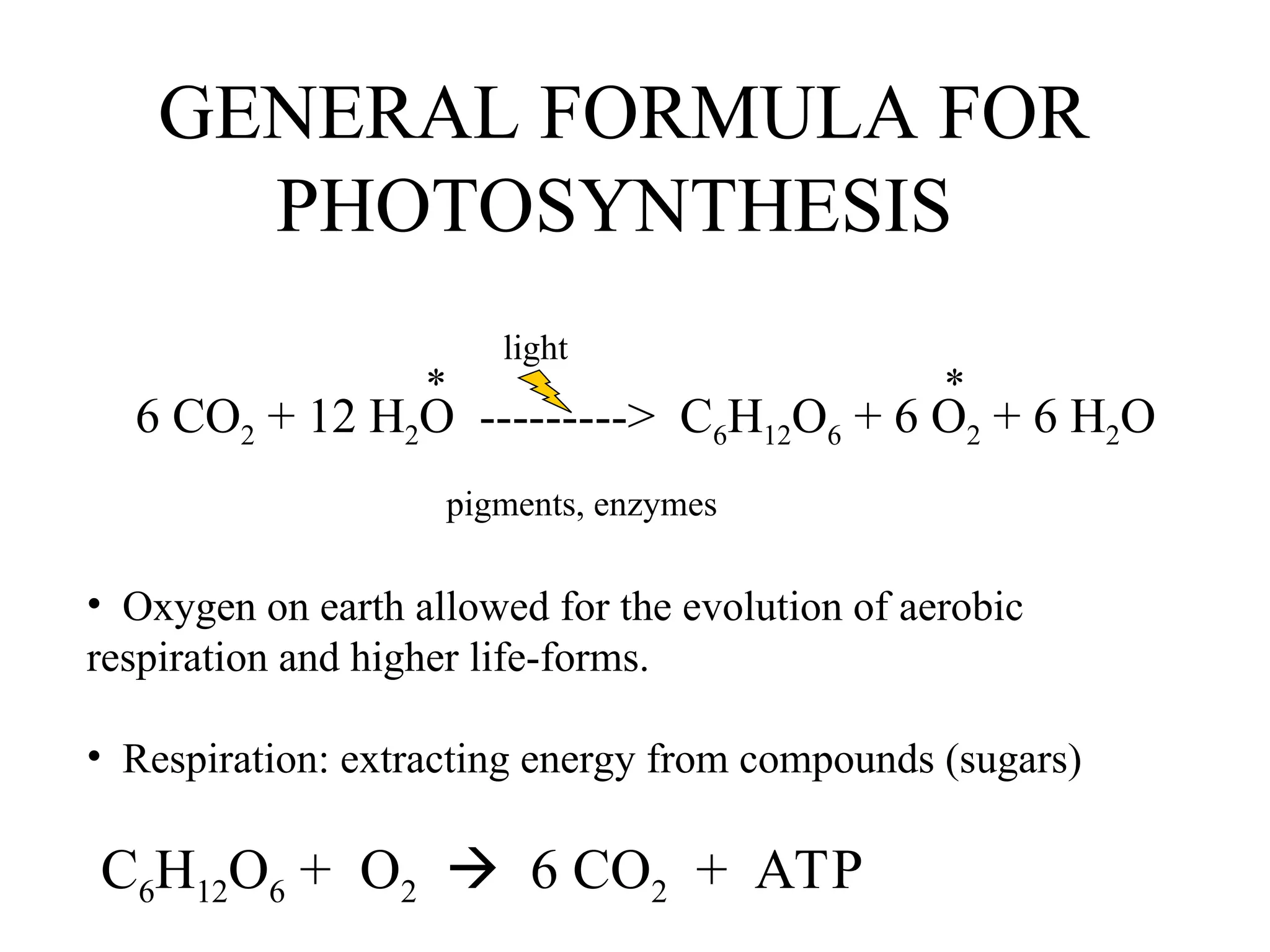 PHOTOSYNTHESIS - UMD. .ppt