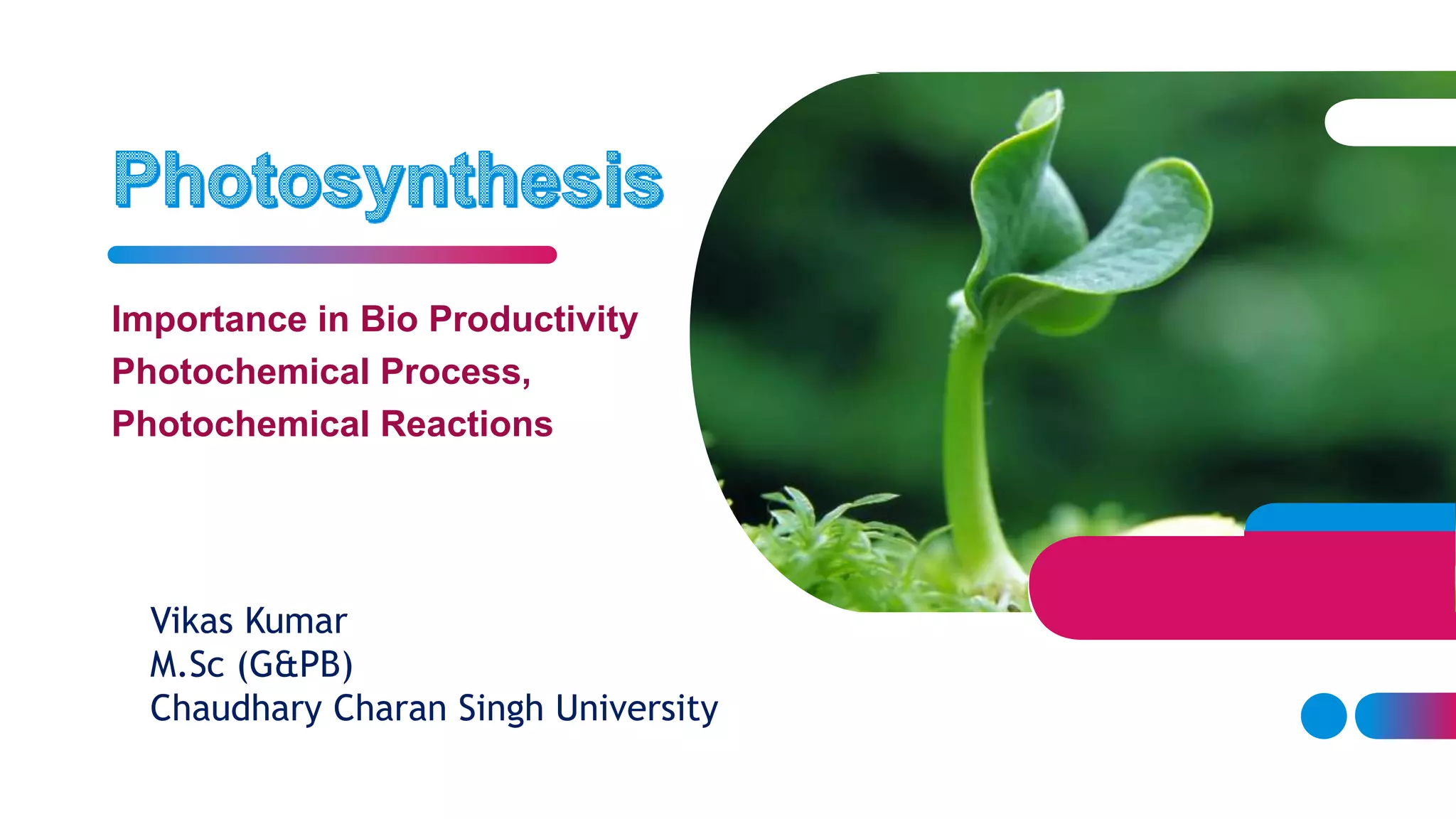 Photosynthesis | PPTX