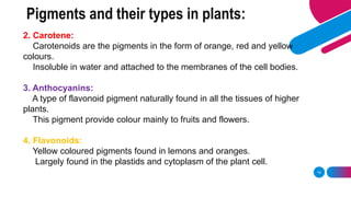 Photosynthesis | PPTX