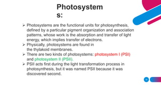 Photosynthesis | PPTX