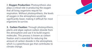 Photosynthesis | PPTX