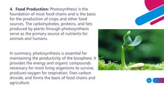 Photosynthesis | PPTX