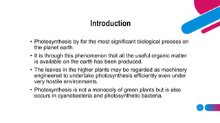 Photosynthesis | PPTX