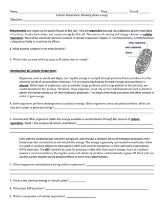 Cellular Respiration And Photosynthesis Worksheet