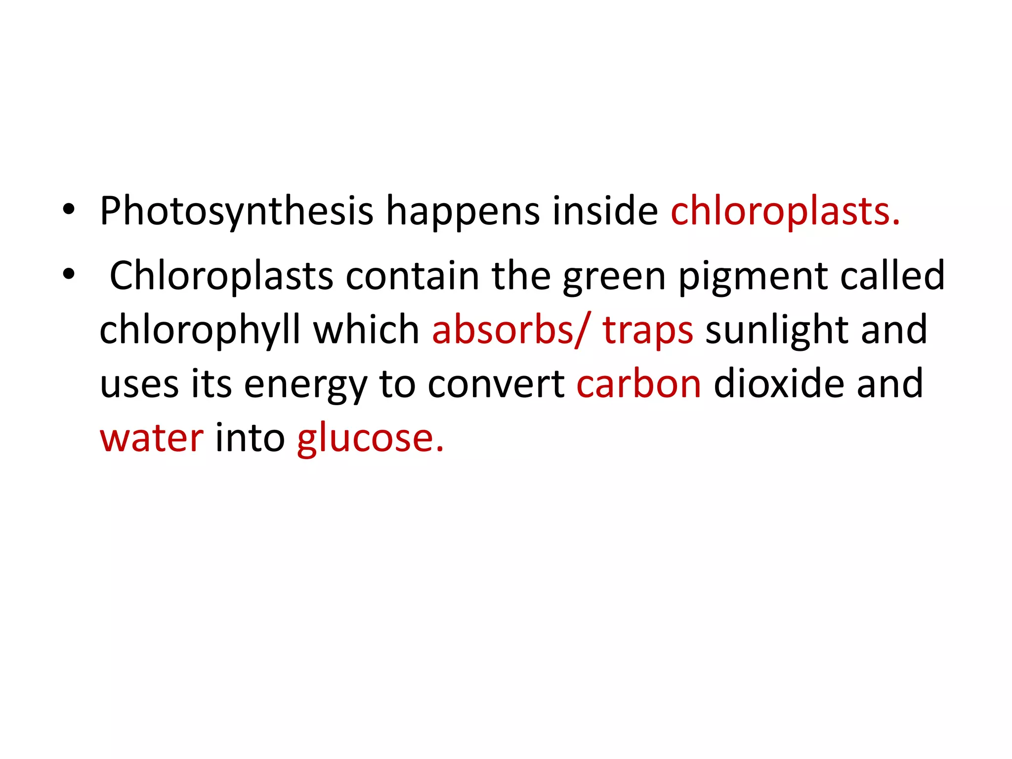 Photosynthesis igcse. | PPTX