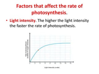 Photosynthesis igcse. | PPTX