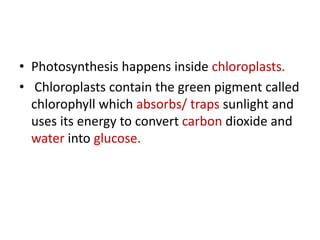 Photosynthesis igcse. | PPTX