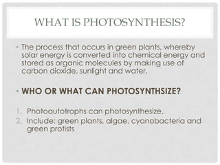 Photosynthesis[1] | PPT