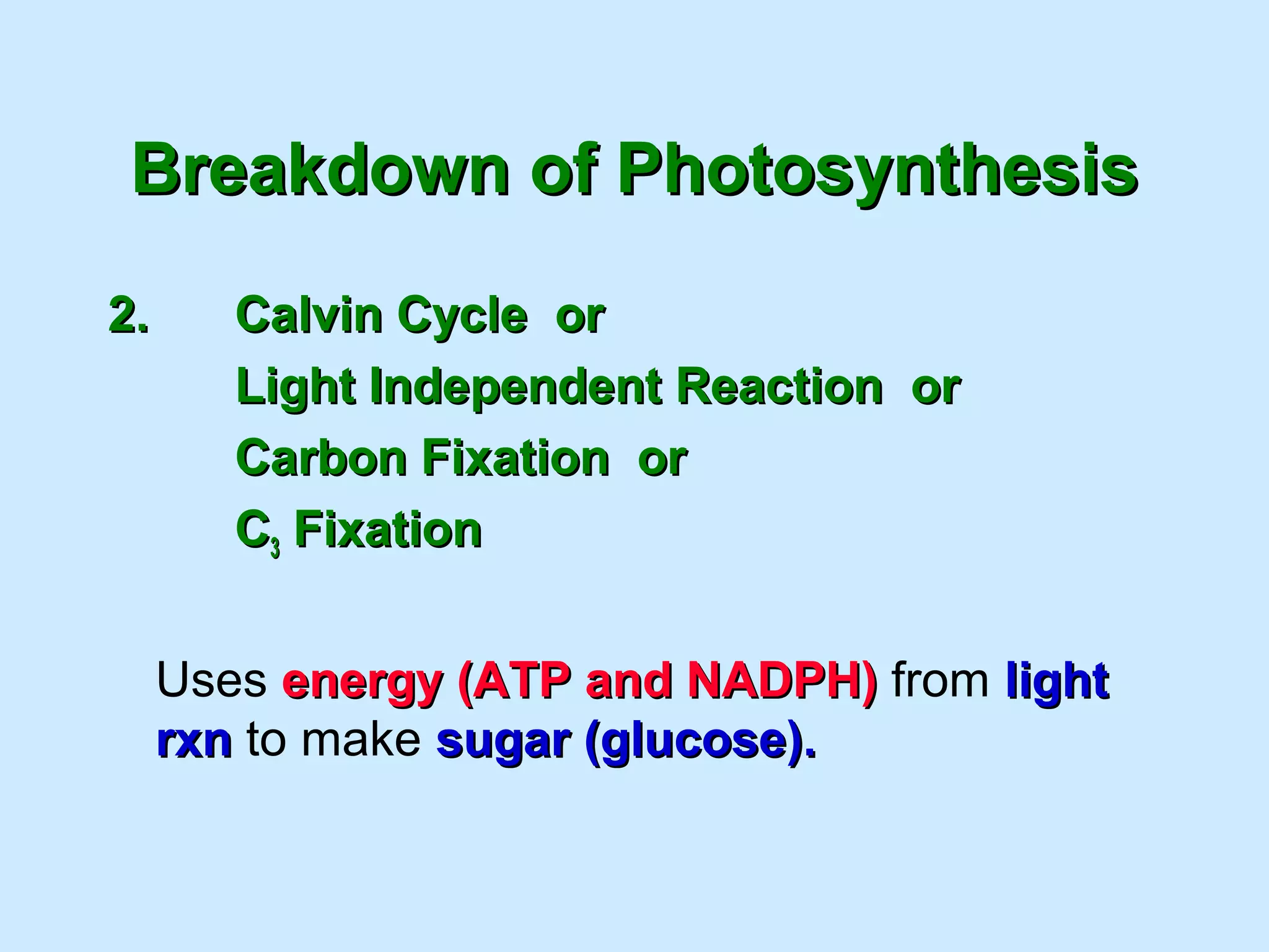 Photosynthesis[1] | PPT