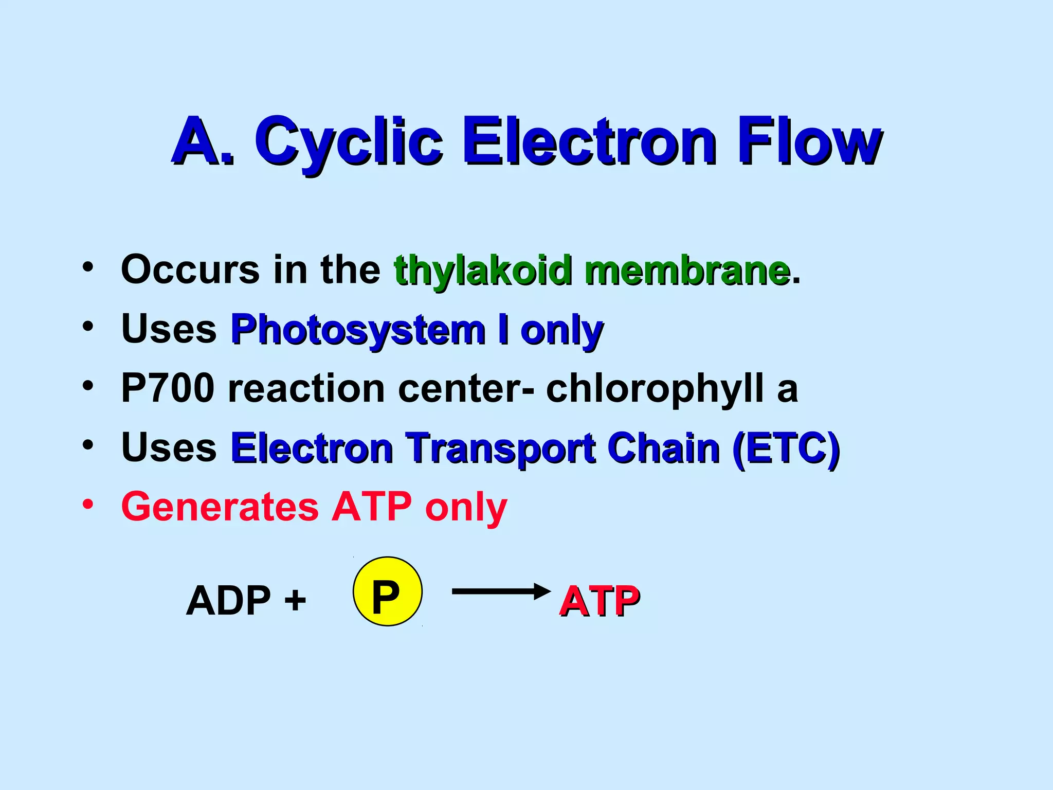 Photosynthesis[1] | PPT