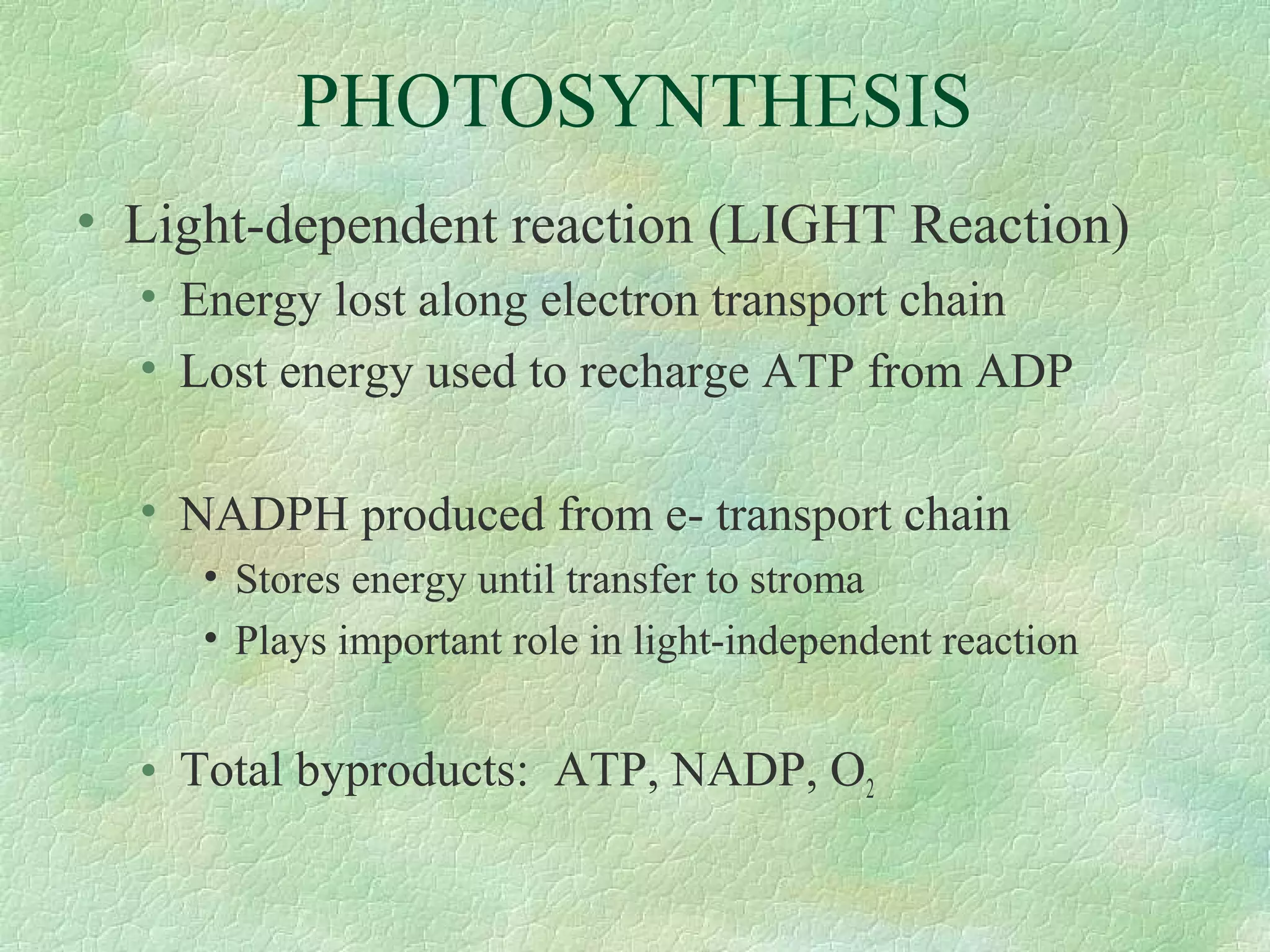 Photosynthesis | PPT